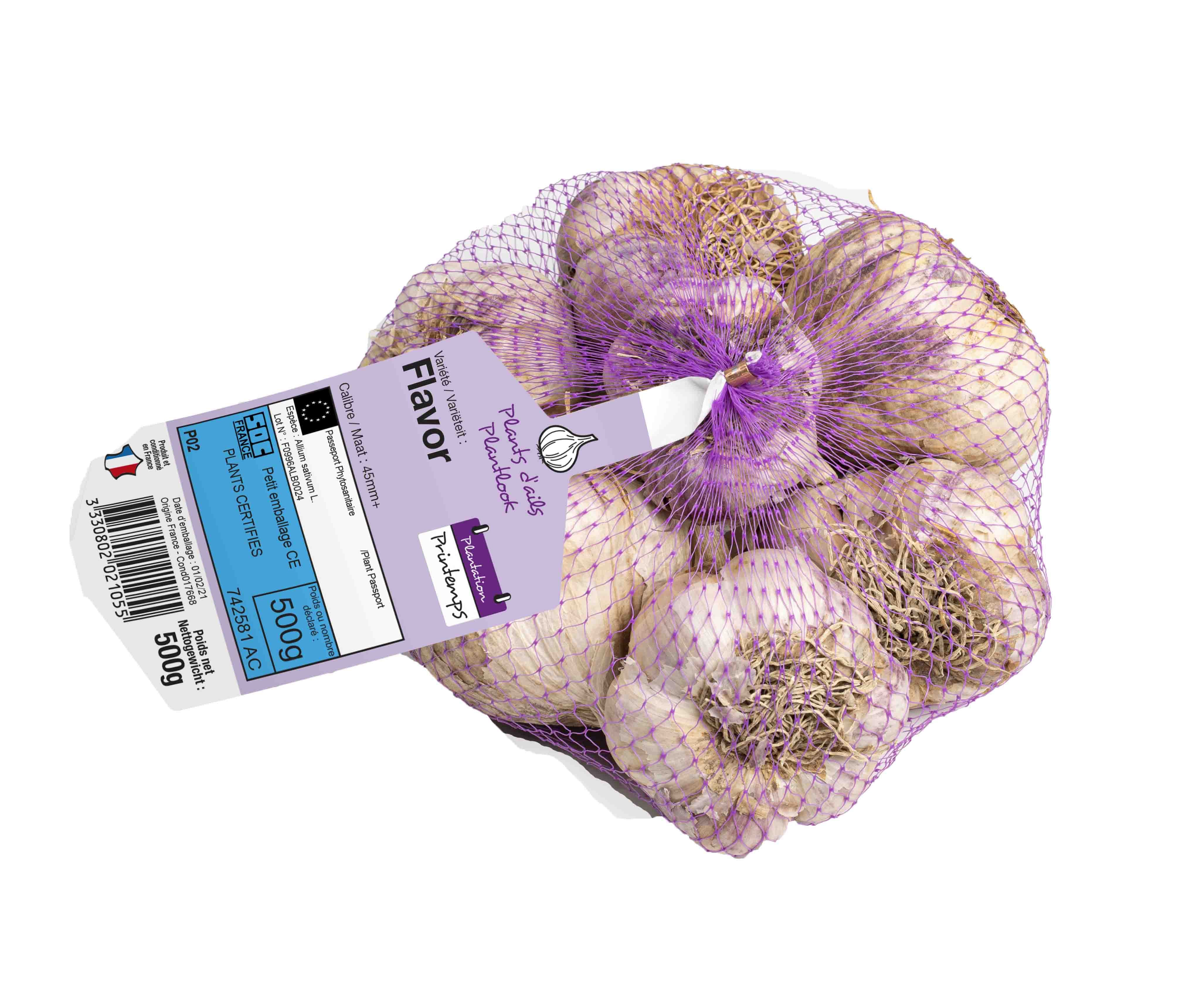 Knoflook planten Flavor| Plantlook