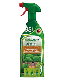 Top Resist spray: Buxus groener maken in enkele dagen!