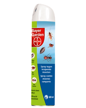 Bayer Spray tegen kruipende insecten: Knock-down Effect!