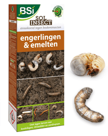 Bodeminsecten bestrijden in gazon en moestuin met BSI Sol Insect