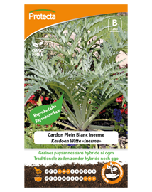 Zaadvaste Kardoen Zaden Interne | Een vergeten groente