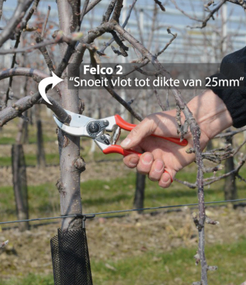 Beste snoeischaar voor tuiniers en professionelen | Felco 2