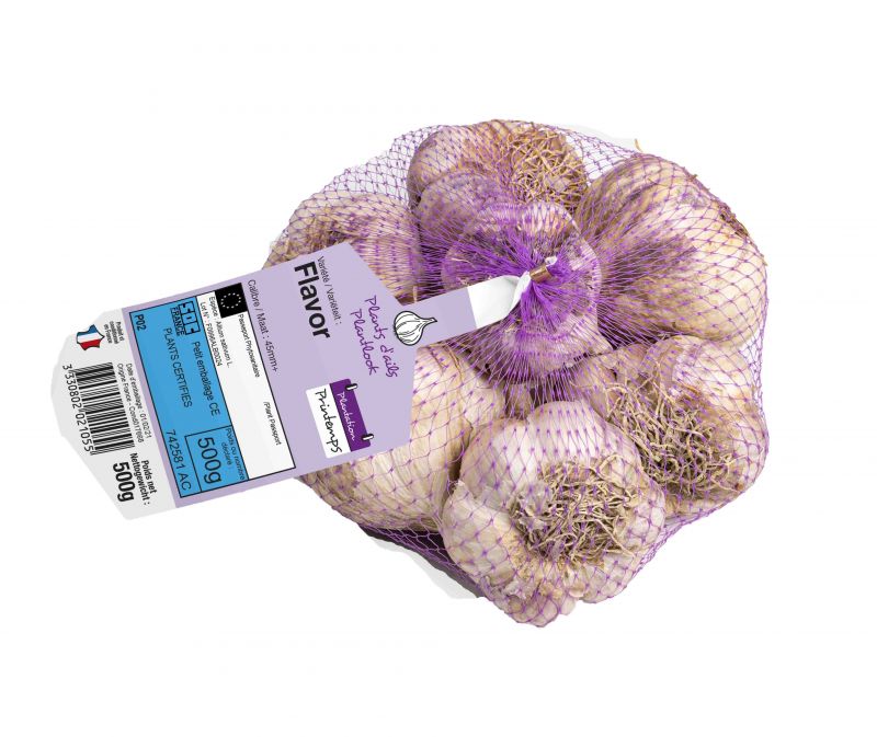 Plantuien, plantsjalotten en plantlook online kopen