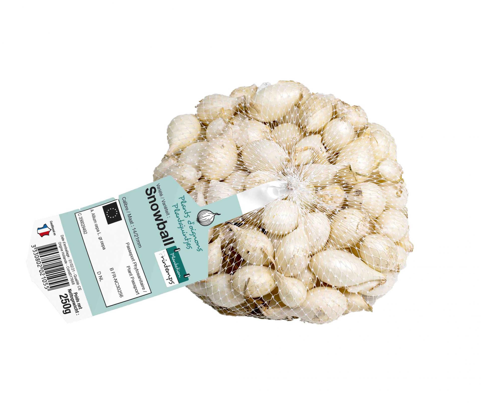 Witte zoete ui Snowball 250 gr
