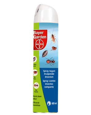 Bayer Spray tegen kruipende insecten: Knock-down Effect!