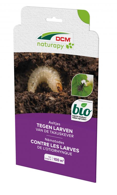 Larven van de taxuskever bestrijden met aaltjes 100m²