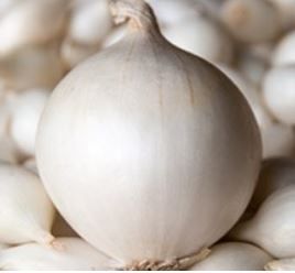 Witte zoete ui Snowball 250 gr