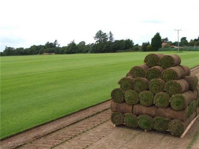 Grasmatten leggen: handleiding & tips voor graszoden